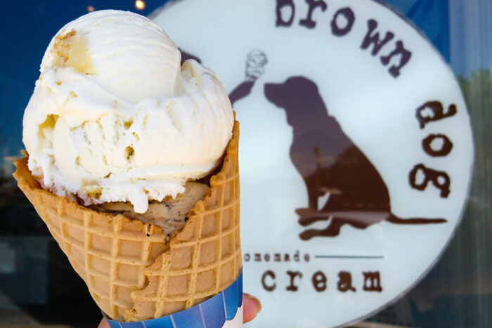 Getaway to Cape Charles Virginia!